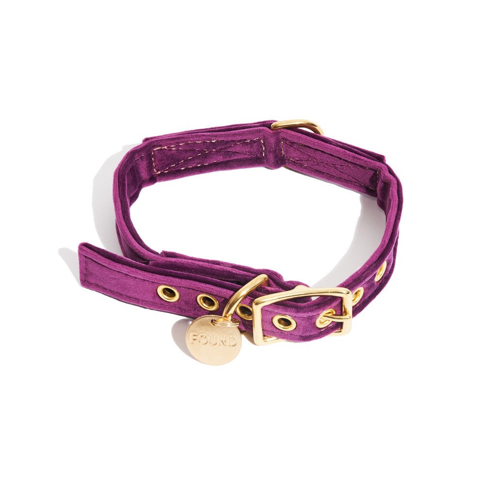 Velvet Dog Collars – Rocky & Maggie's