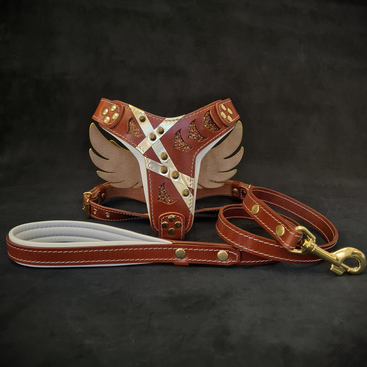 "Hermes" Set- harness & leash – Rocky & Maggie's