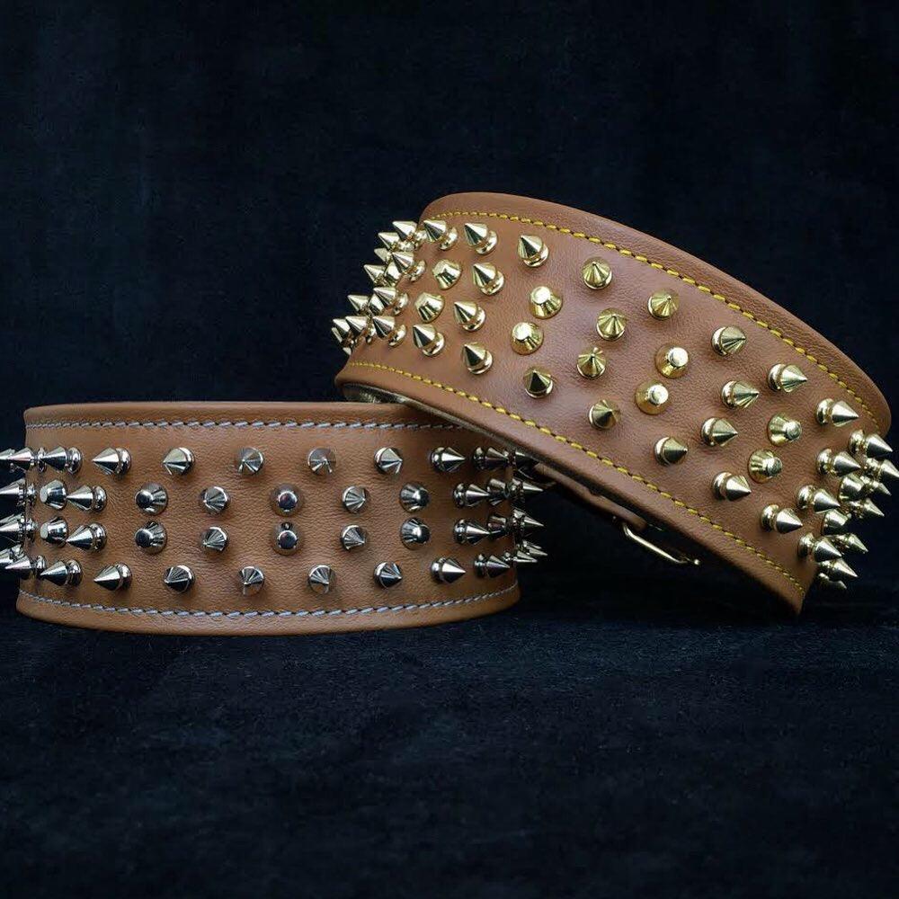 The "Crown" collar – Rocky & Maggie's
