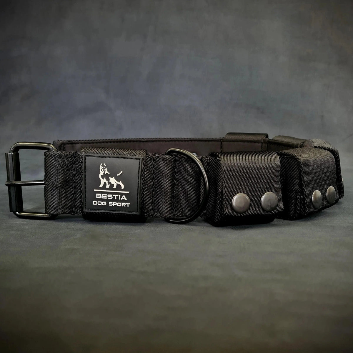Weighted dog training collar. Large breeds. 5 lbs total. removable wei ...