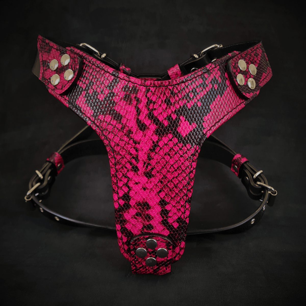 The ''Rock Python'' harness Small to Medium Size – Rocky & Maggie's ...