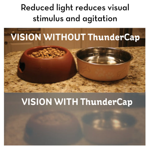 ThunderCap from ThunderWorks – Rocky & Maggie's | Pet Grooming, Dog and ...