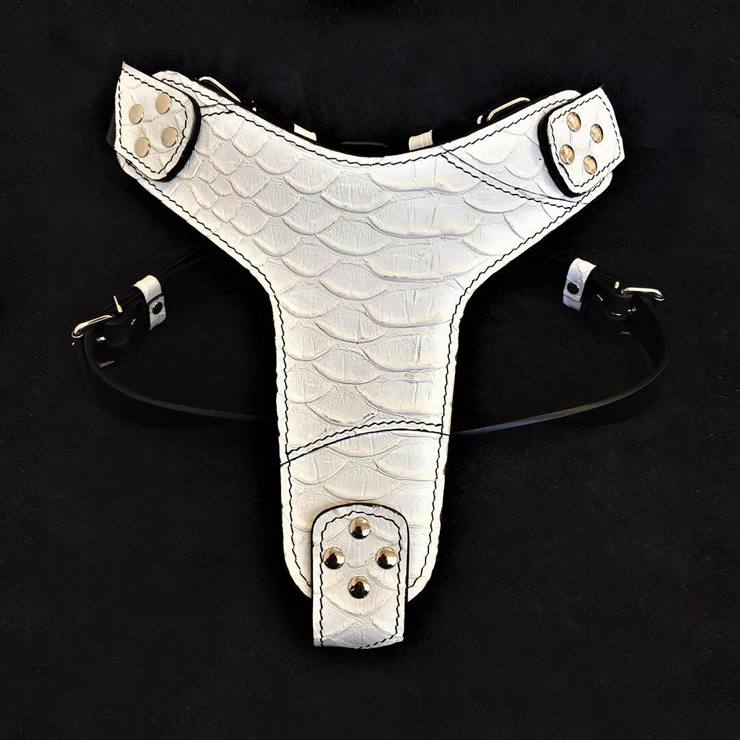 The ''Dragon Scale'' harness – Rocky & Maggie's