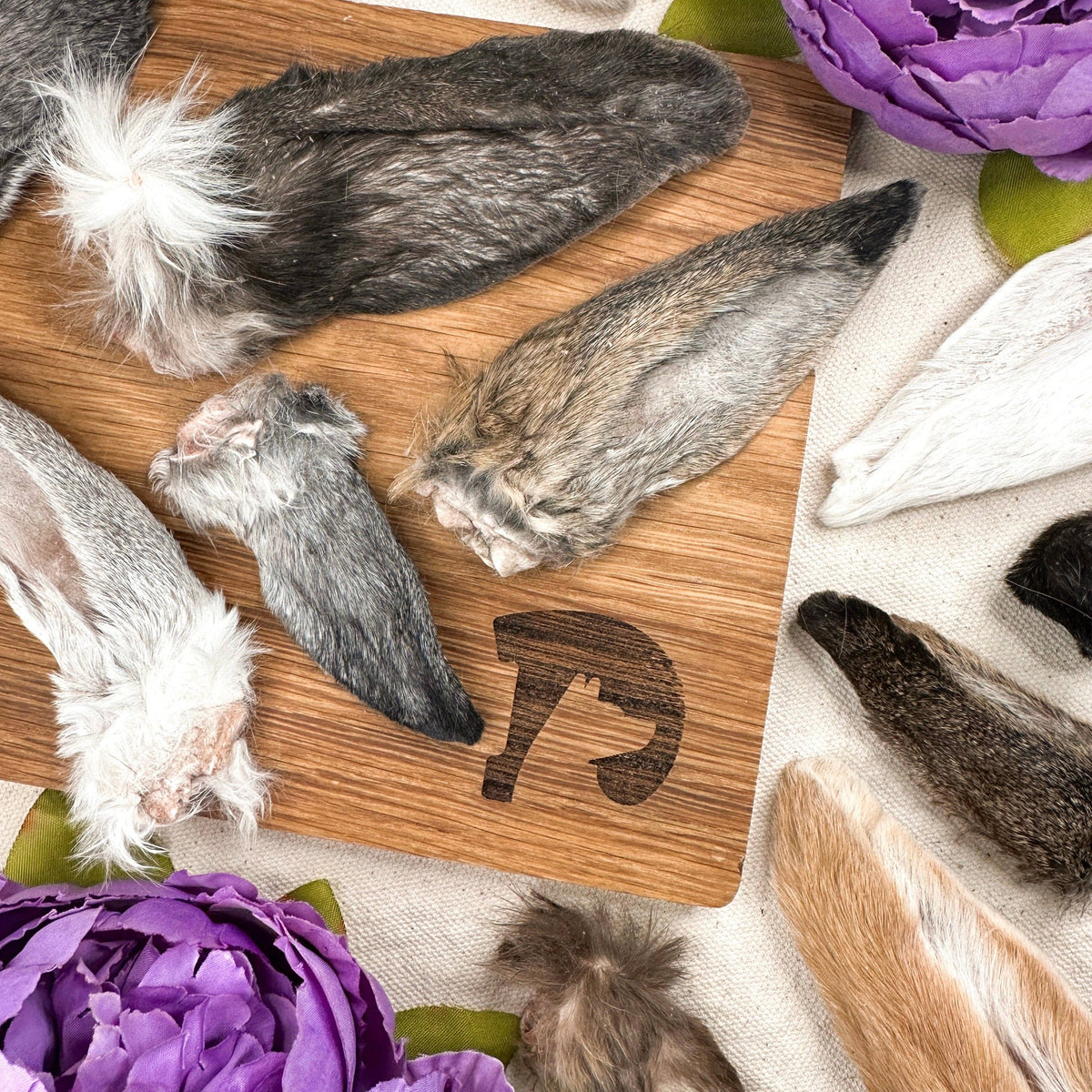 Freeze-dried Rabbit Ears: 1 piece – Rocky & Maggie's | Pet Grooming ...
