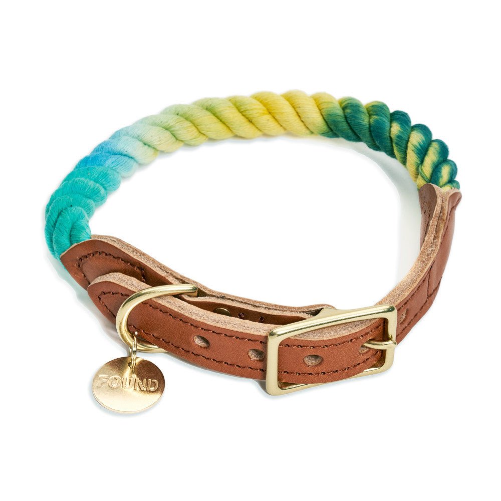 Found My Animal X Petco Azure Cotton Rope Dog Collar – Rocky & Maggie's ...