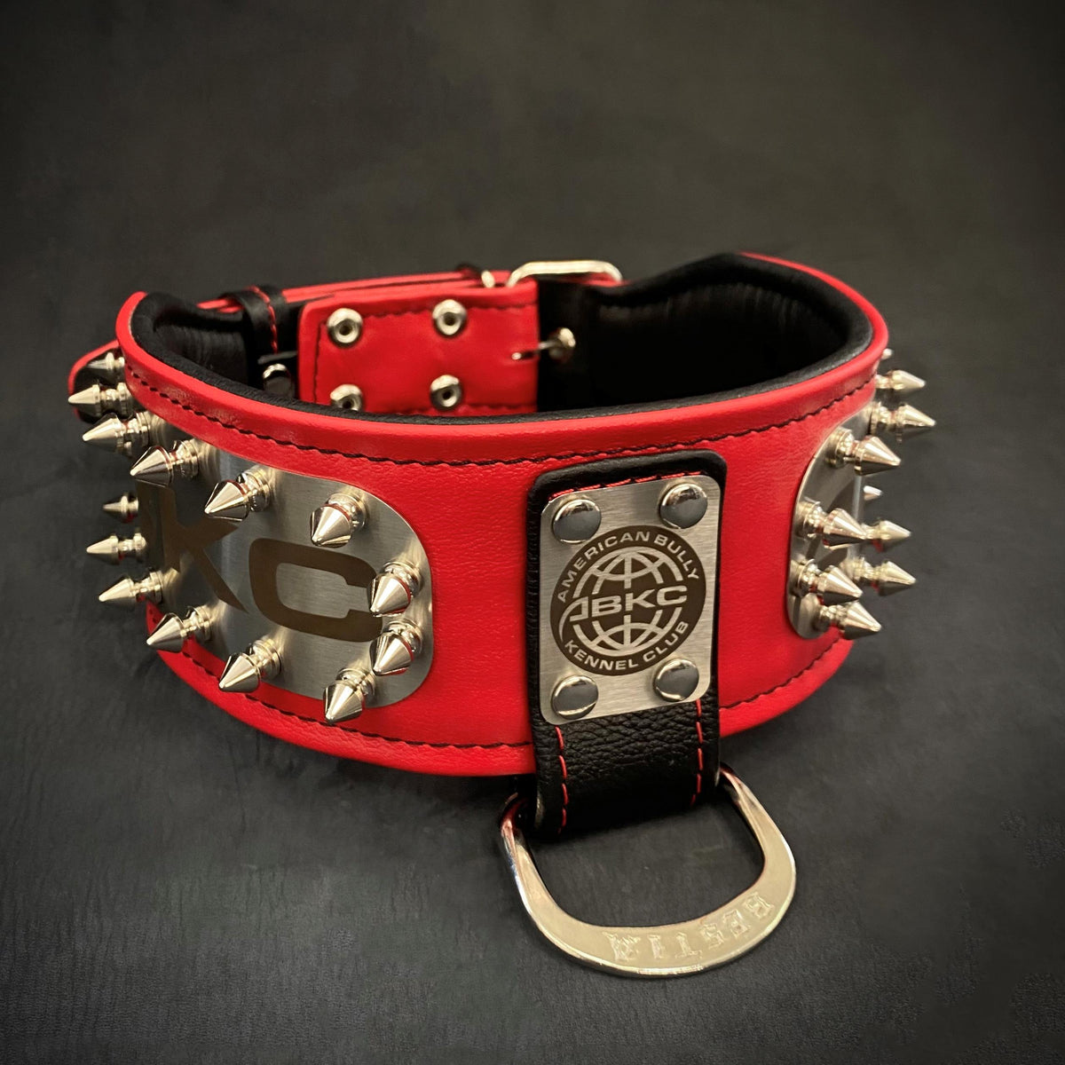 The ABKC Collar – Rocky & Maggie's