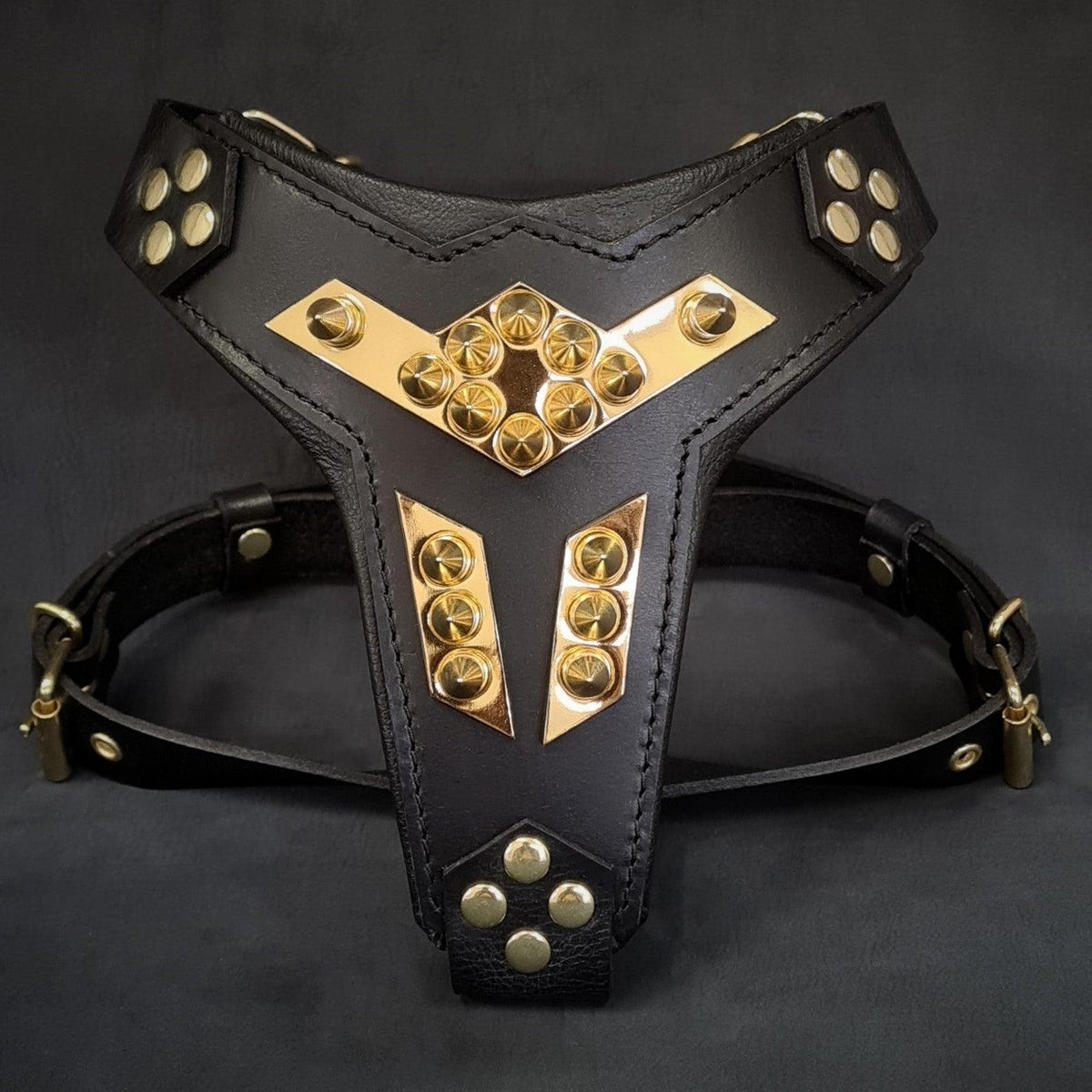 ''Midas'' leather dog harness gold medium size – Rocky & Maggie's