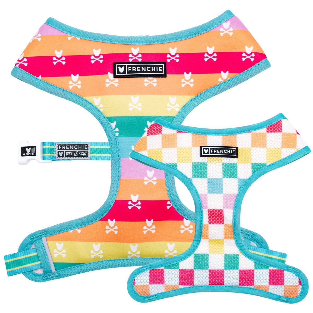 Frenchie Duo Reversible Harness - Rainbow Bad to the Bone – Rocky ...