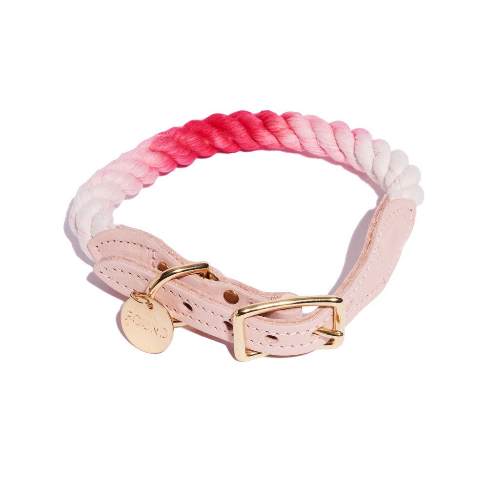 Scarlet Ombre Cotton Rope Cat & Dog Collar – Rocky & Maggie's | Pet ...